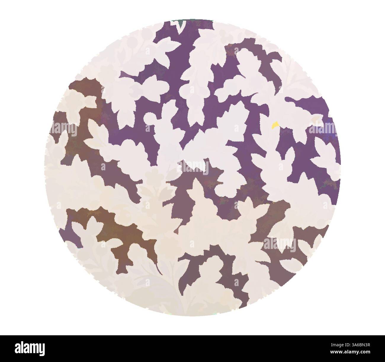Blend of intricate leaf patterns Cut Out Stock Images & Pictures - Alamy