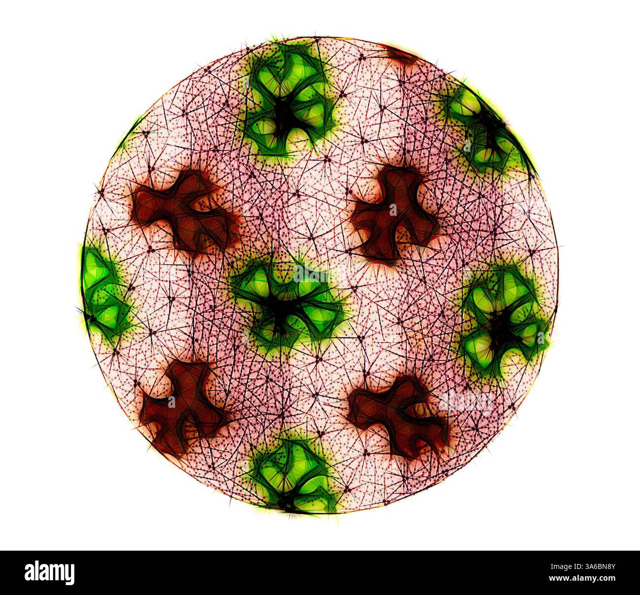 Intricate web of interconnected shapes hi-res stock photography and ...