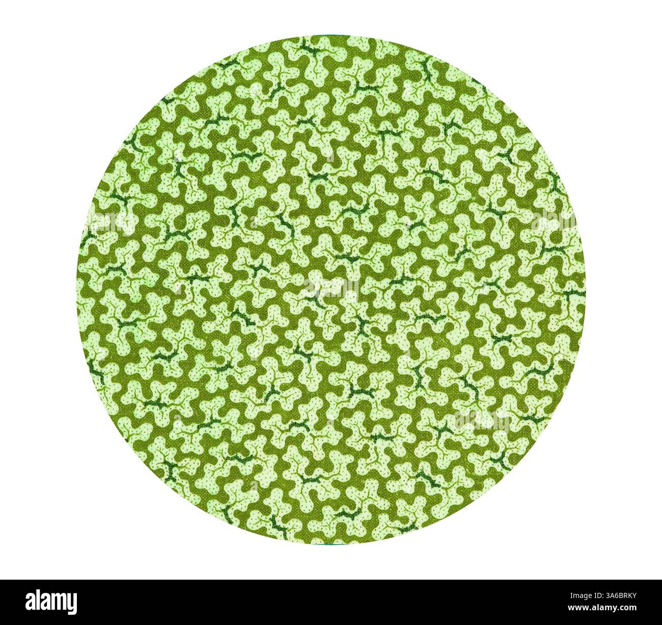 Intricate pattern of interconnected shapes creates hi-res stock ...