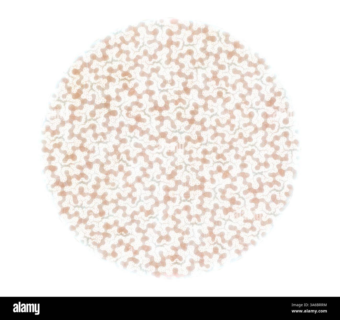 A delicate pattern of interwoven shapes forms a circular design ...