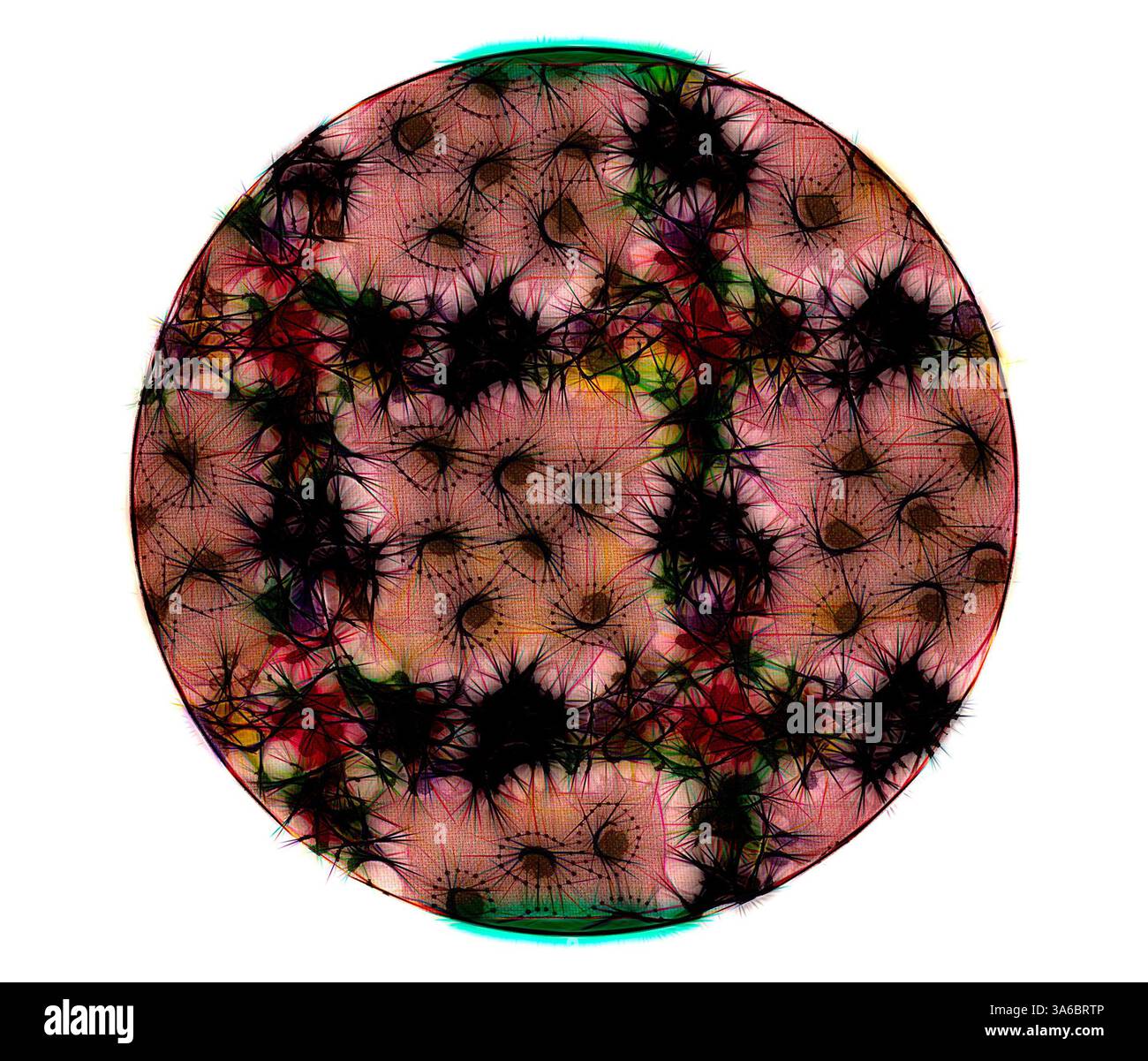 An abstract composition featuring a circular arrangement filled with ...