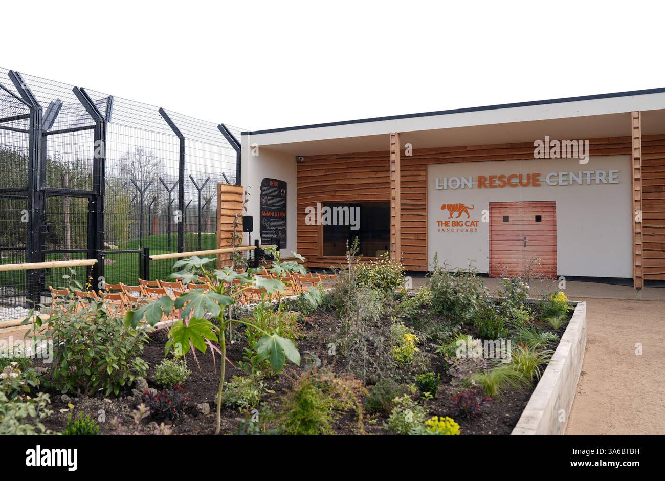 A view of the new Lion Rescue Centre at the Big Cat Sanctuary in ...