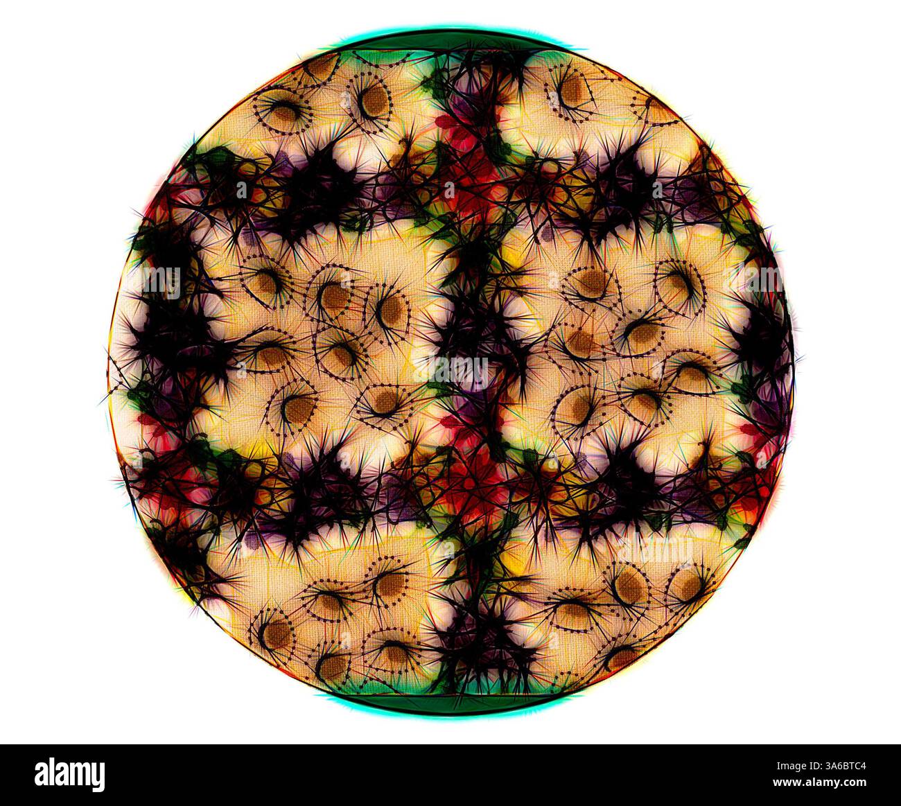 A vibrant, intricate circle filled with abstract patterns and textures ...