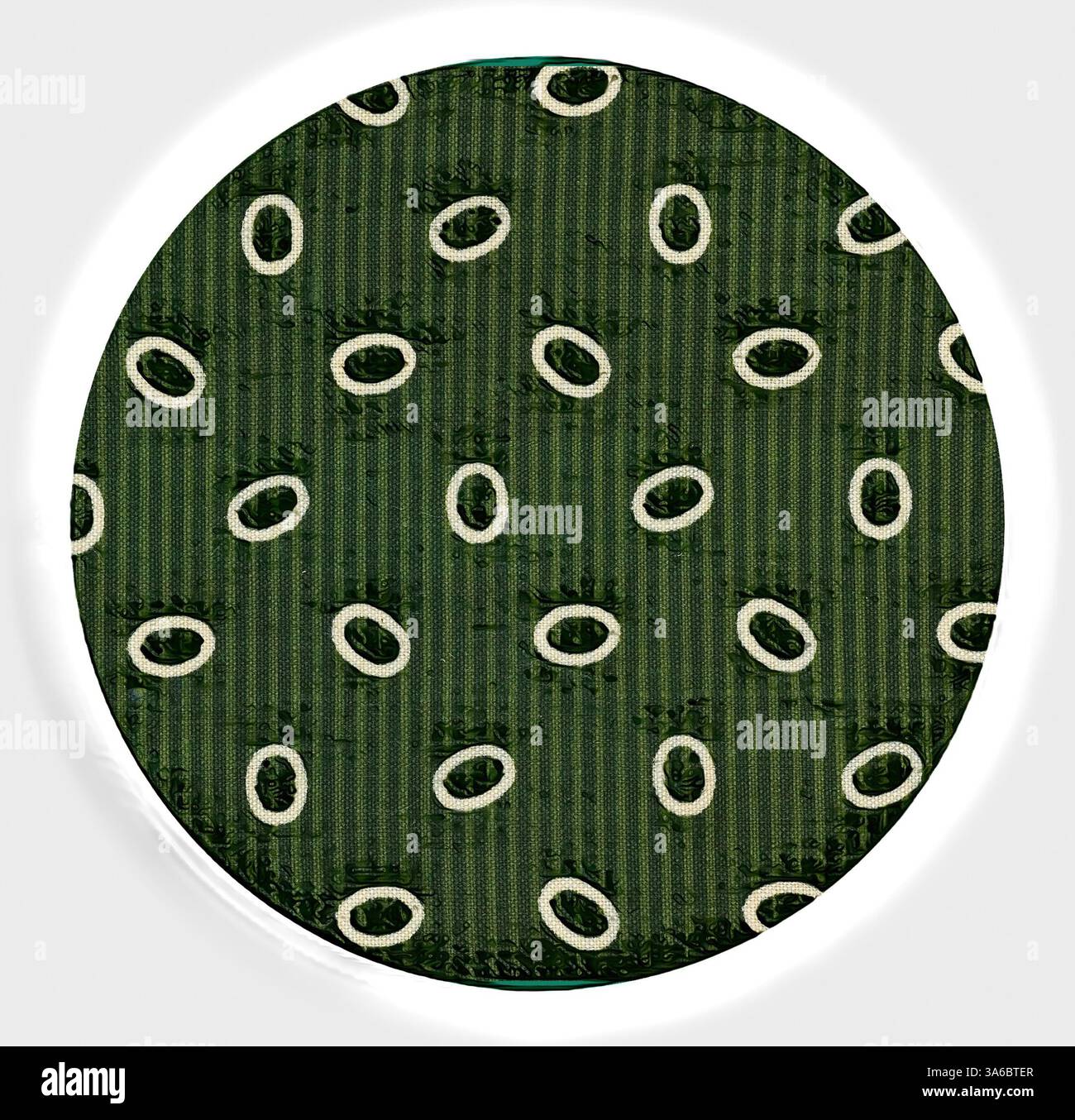 Cream colored oval shapes hi-res stock photography and images - Alamy