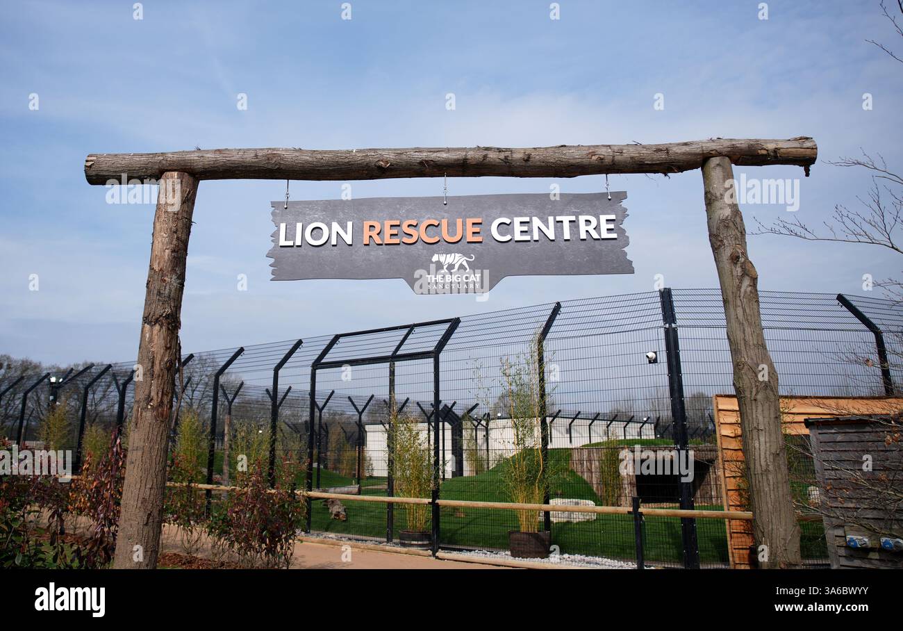 A view of the new Lion Rescue Centre at the Big Cat Sanctuary in ...