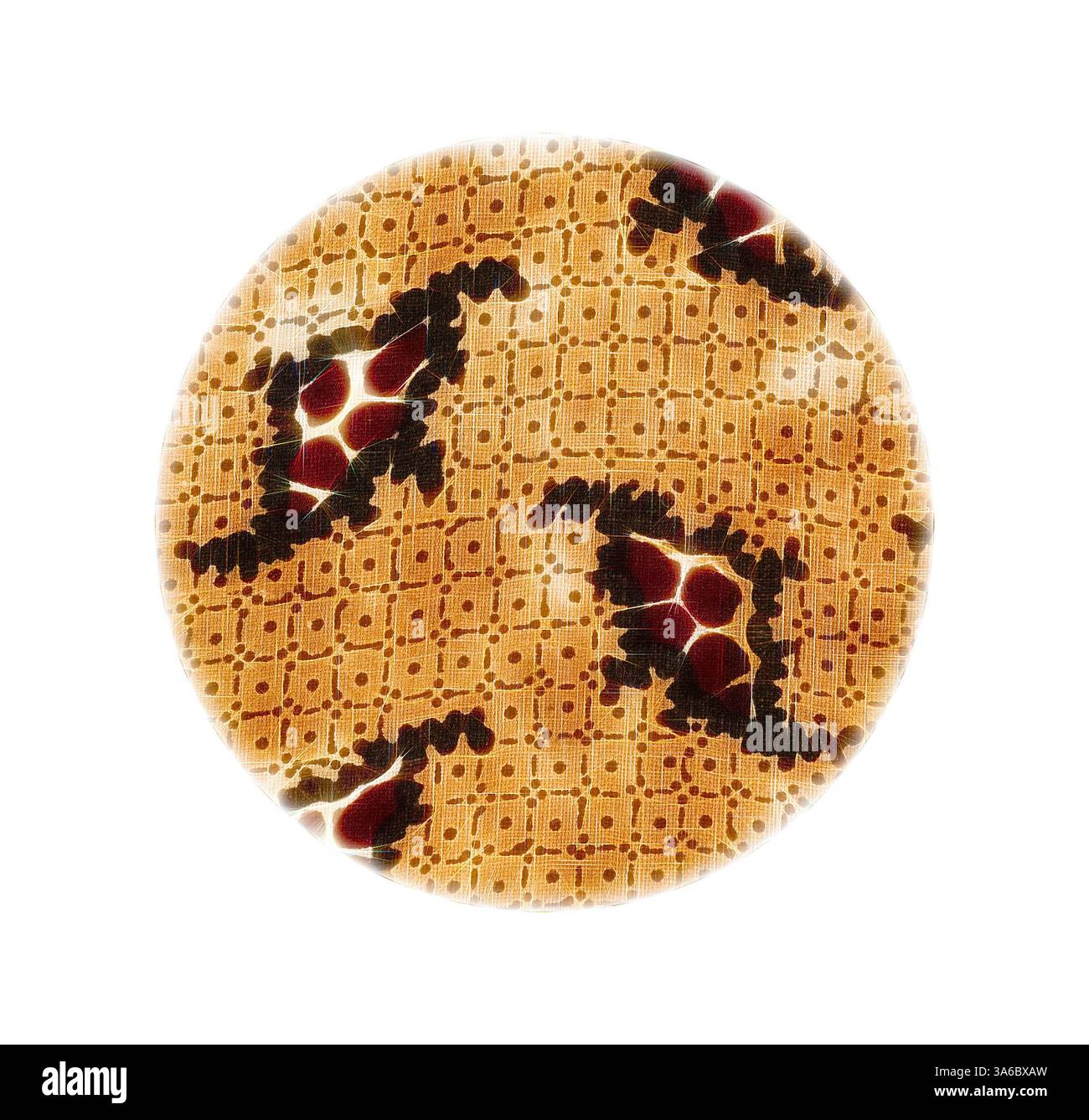 A circular surface featuring a vibrant pattern of earthy tones ...