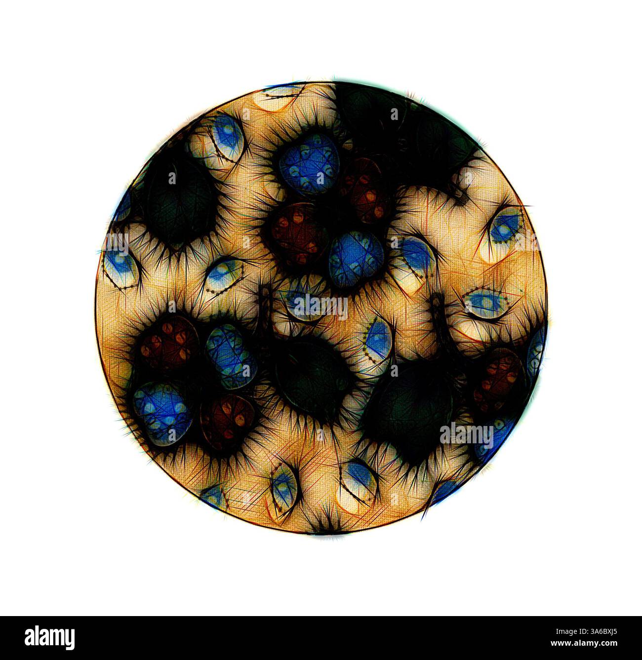Intricate pattern of circular forms Cut Out Stock Images & Pictures - Alamy