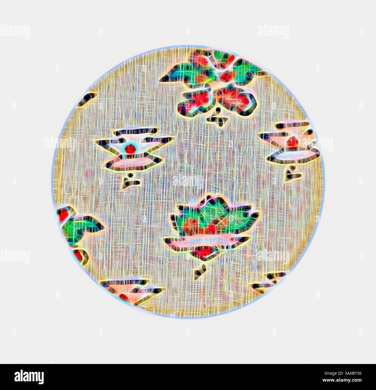 A vibrant, abstract pattern featuring floral motifs and geometric ...