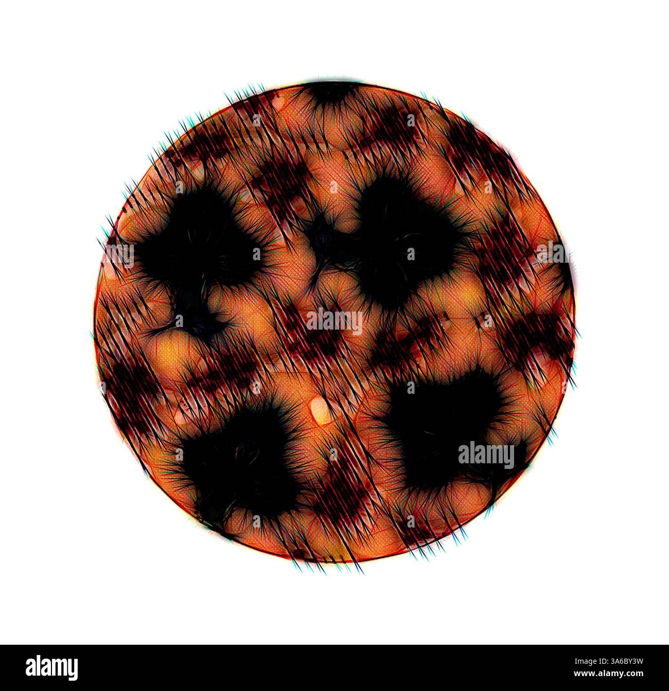 Featuring dark spots interspersed hi-res stock photography and images ...