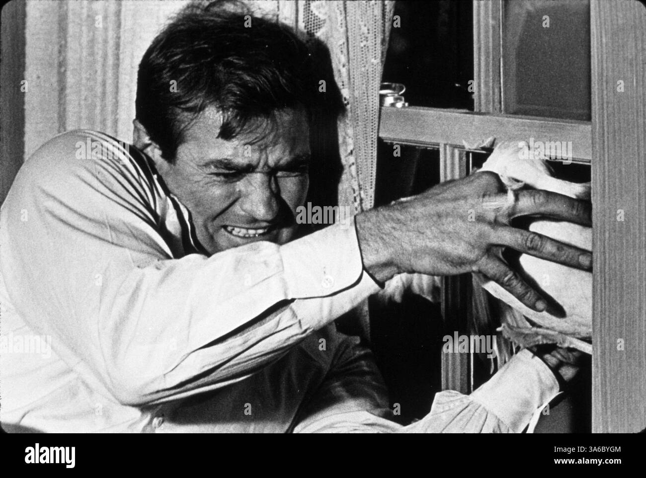 January 8, 2015 - File - Actor ROD TAYLOR (January 11, 1930 - January 7 ...