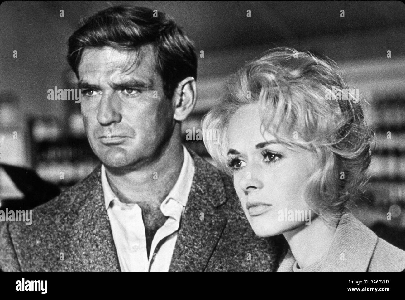 January 8, 2015 - File - Actor ROD TAYLOR (January 11, 1930 - January 7 ...