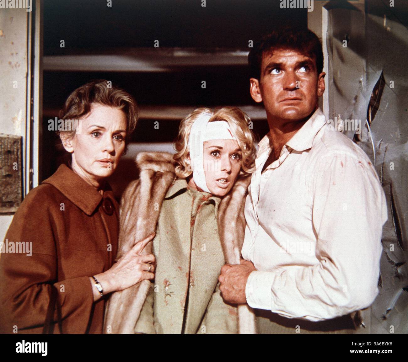 January 8, 2015 - File - Actor ROD TAYLOR (January 11, 1930 - January 7 ...