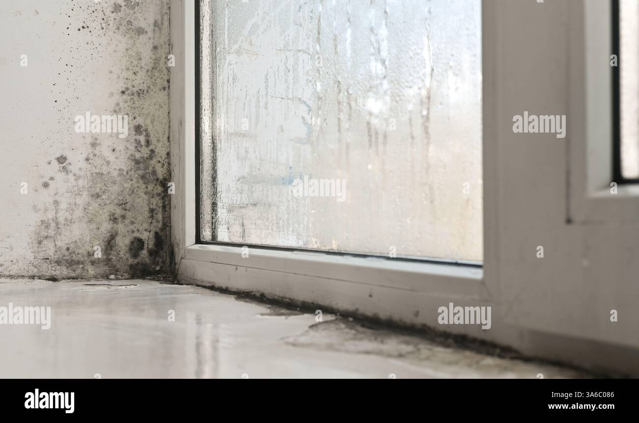 mold on the window in the apartment. wet fogged glass due to humidity ...
