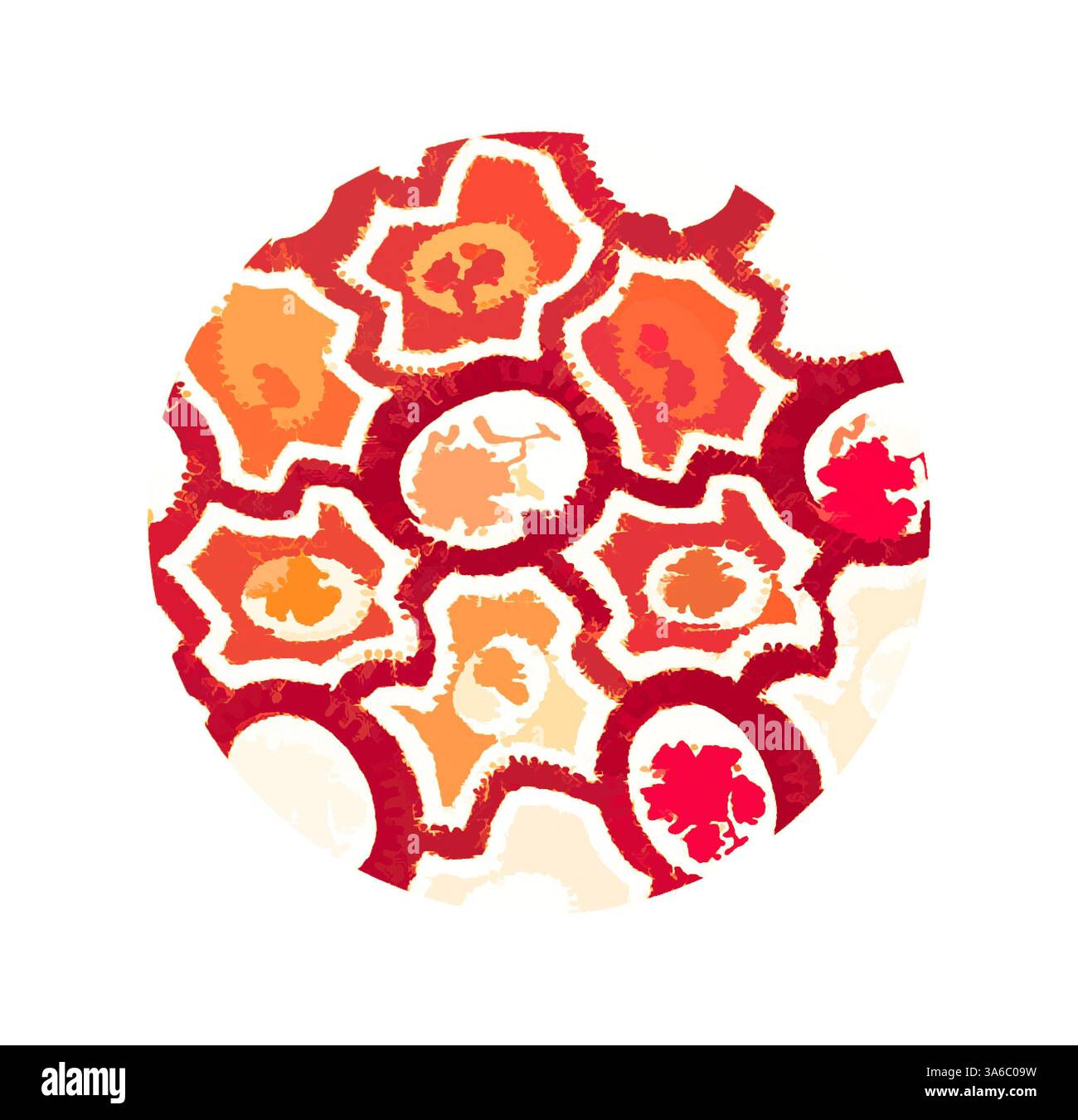 Interlocking floral shapes in warm tones of red hi-res stock ...