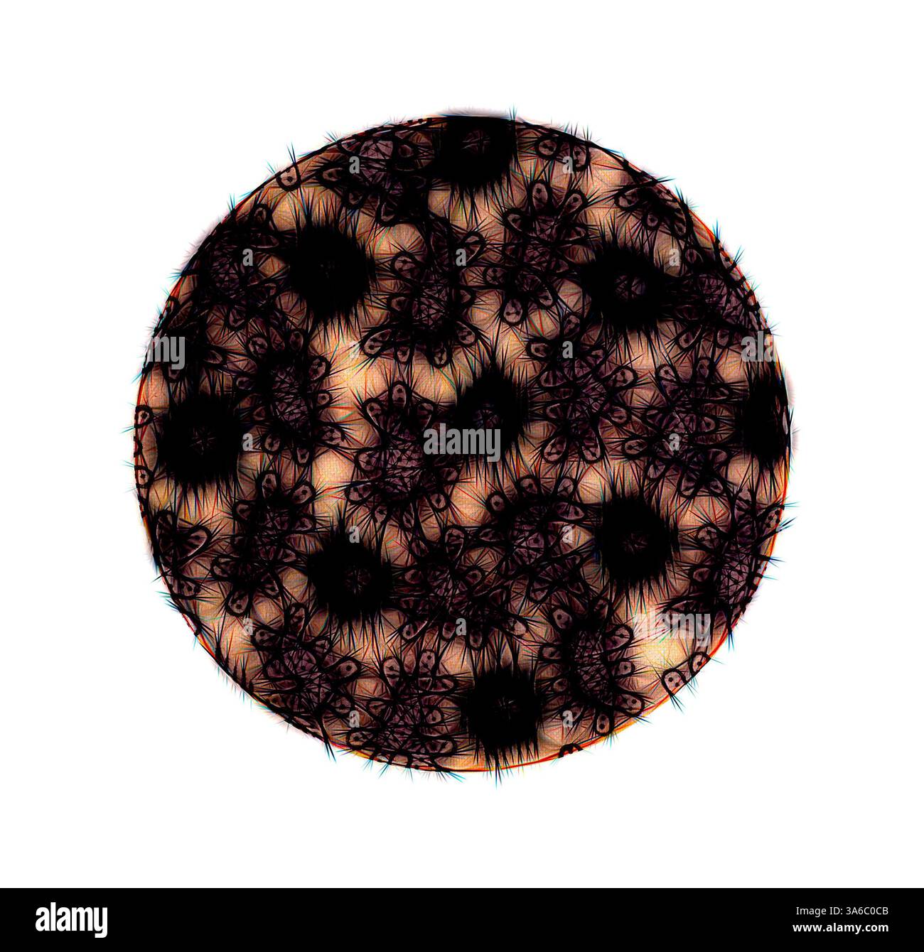 A circular pattern filled with intricate textures and dark shapes ...