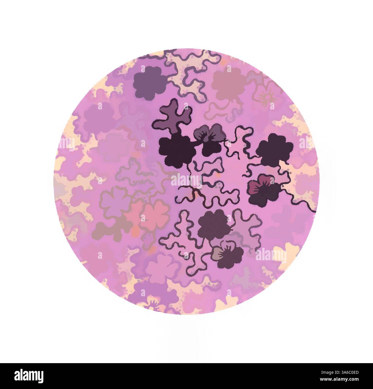 Pastel shades of purple Cut Out Stock Images & Pictures - Alamy