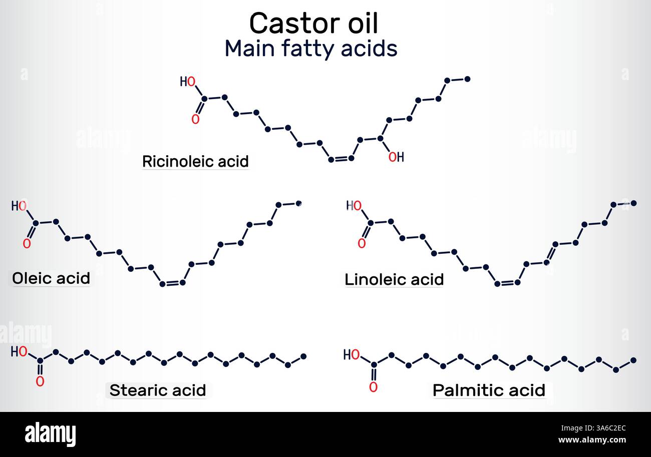Castor oil main fatty acids. Ricinoleic, oleic, linoleic, stearic ...