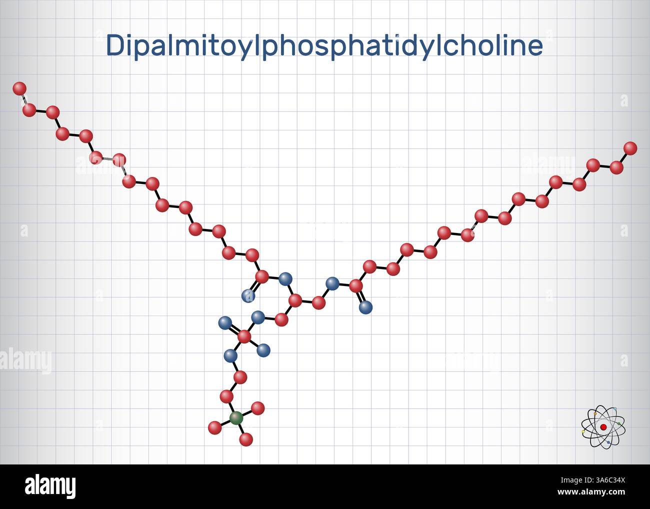 Dipalmitoylphosphatidylcholine, DPPC molecule. Natural phospholipid ...