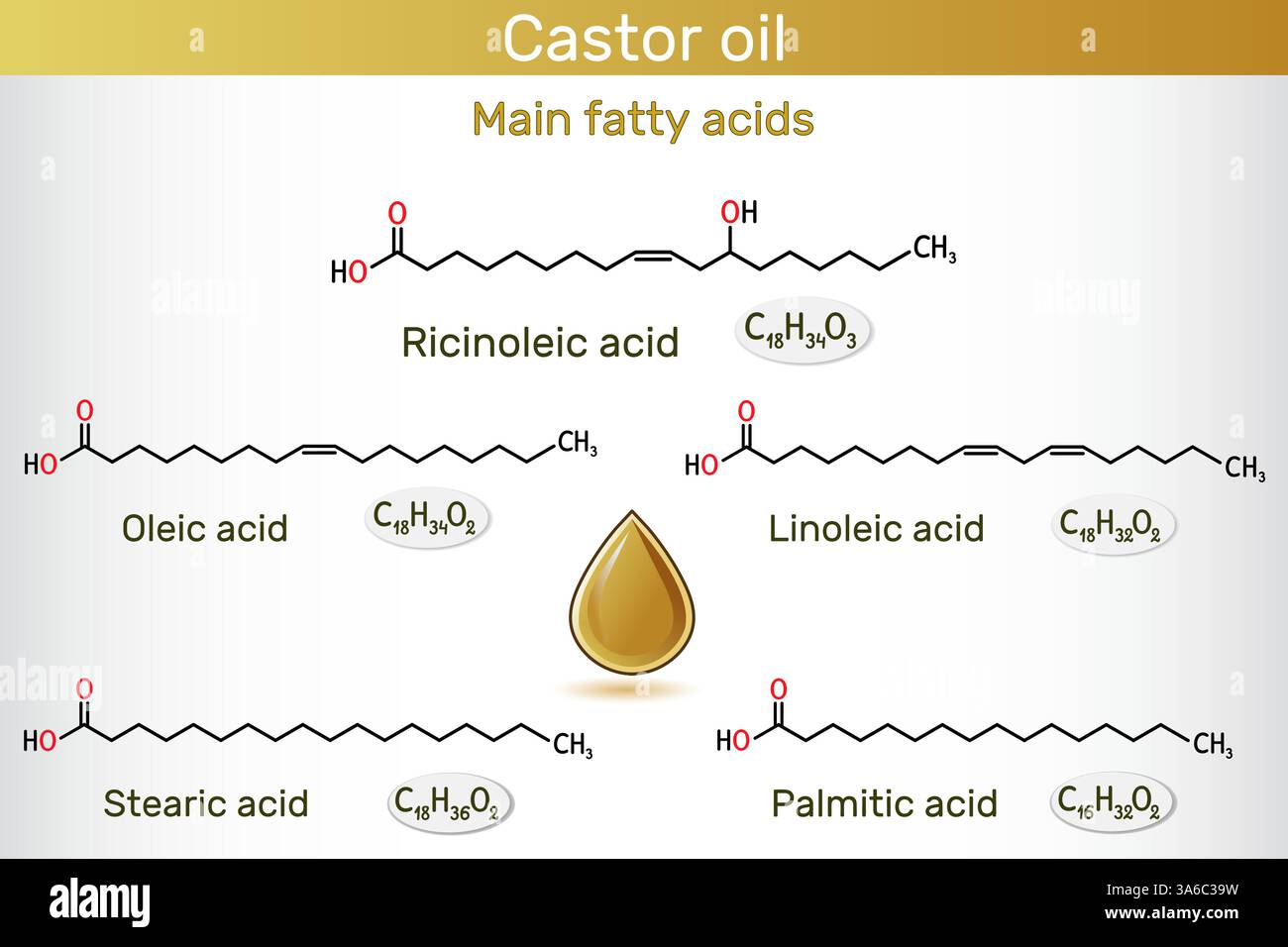 Castor oil main fatty acids. Ricinoleic, oleic, linoleic, stearic ...