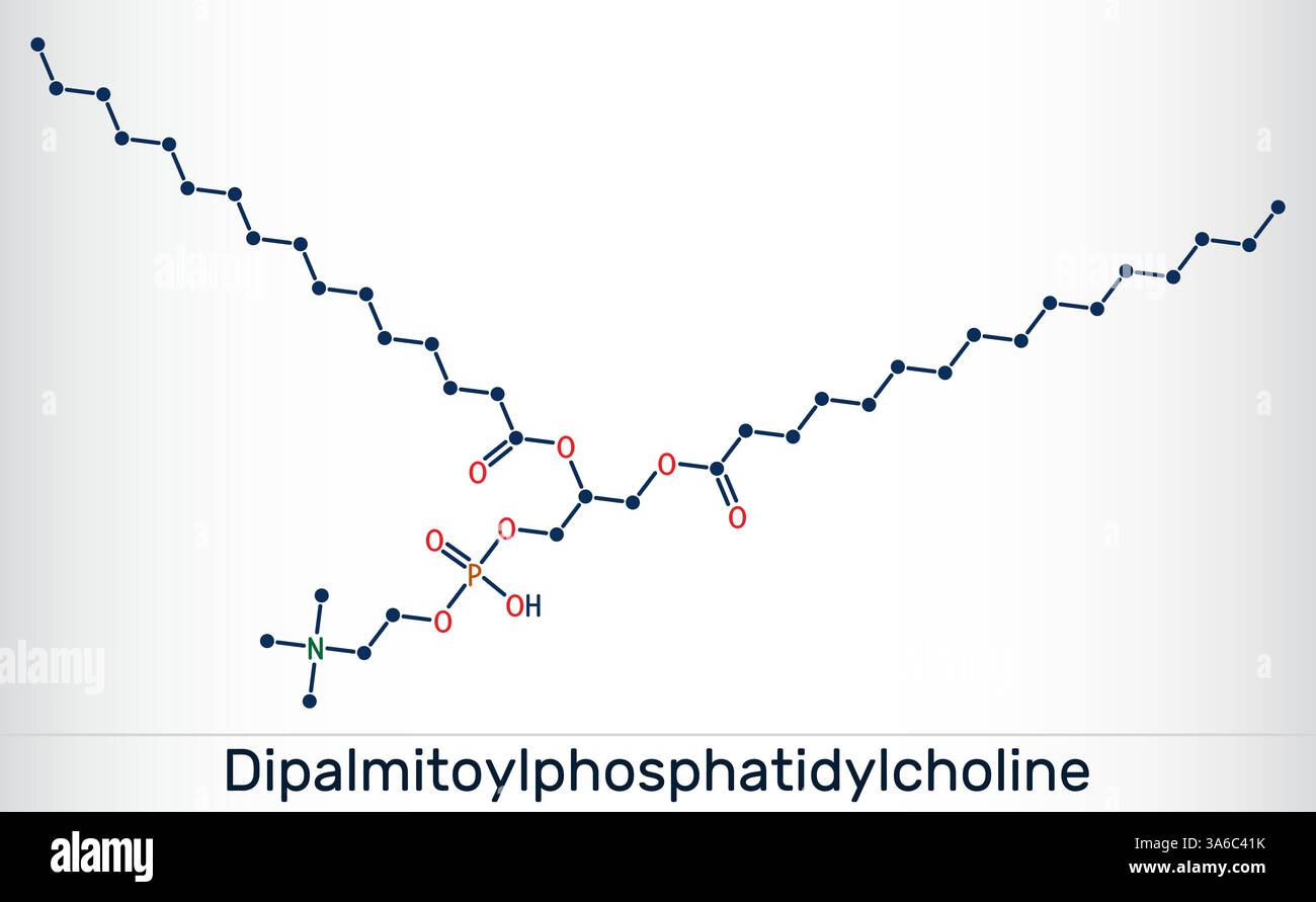 Dipalmitoylphosphatidylcholine, DPPC molecule. Natural phospholipid ...
