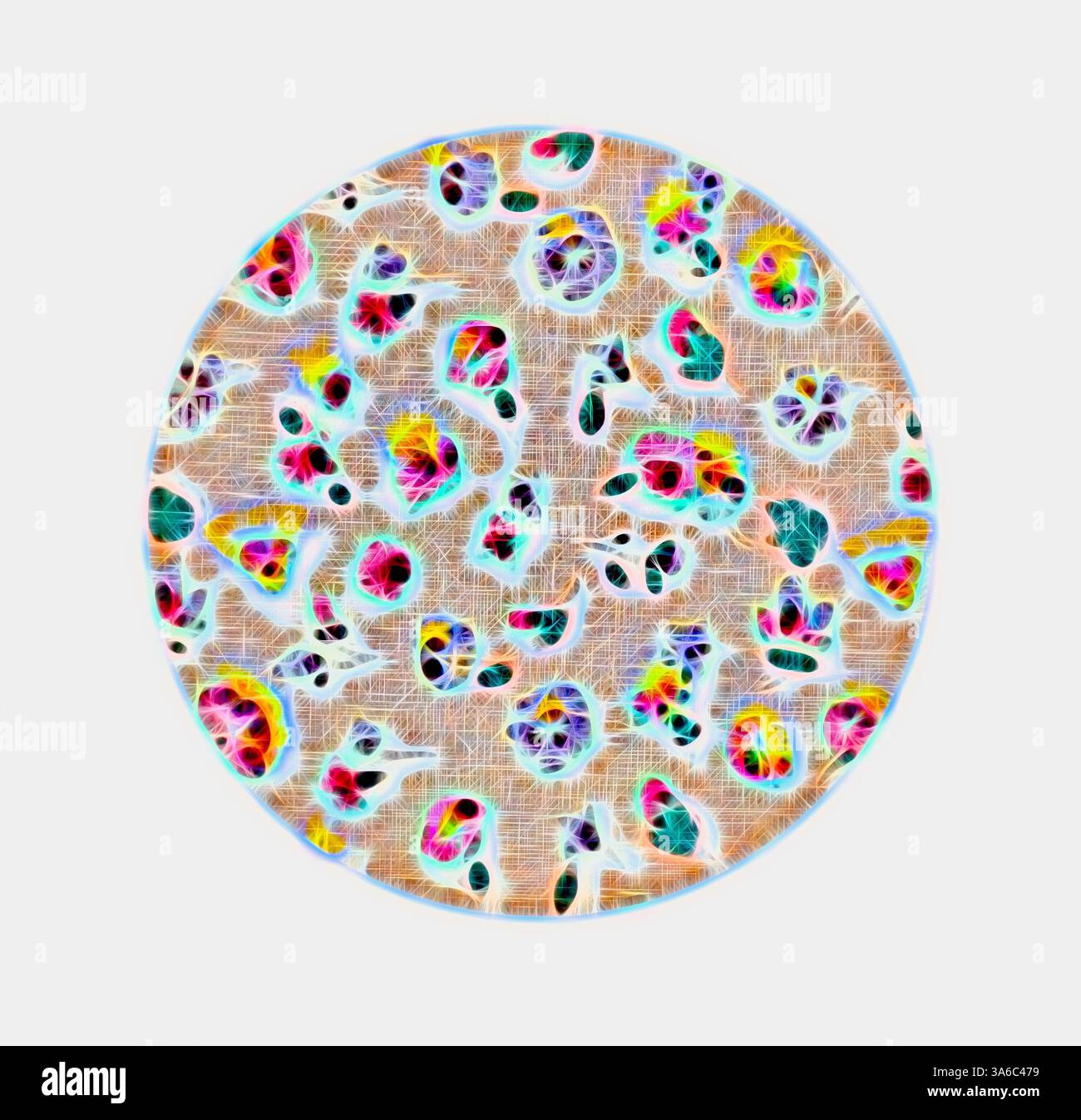 Resembling cellular structures hi-res stock photography and images - Alamy