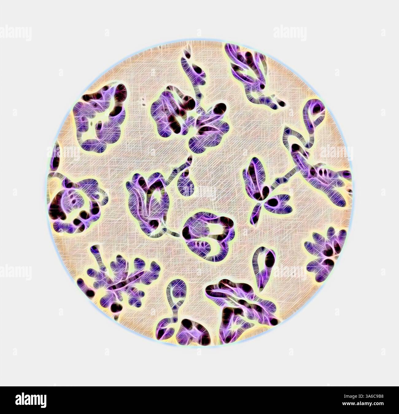 A colorful depiction of microscopic organisms, featuring intricate ...