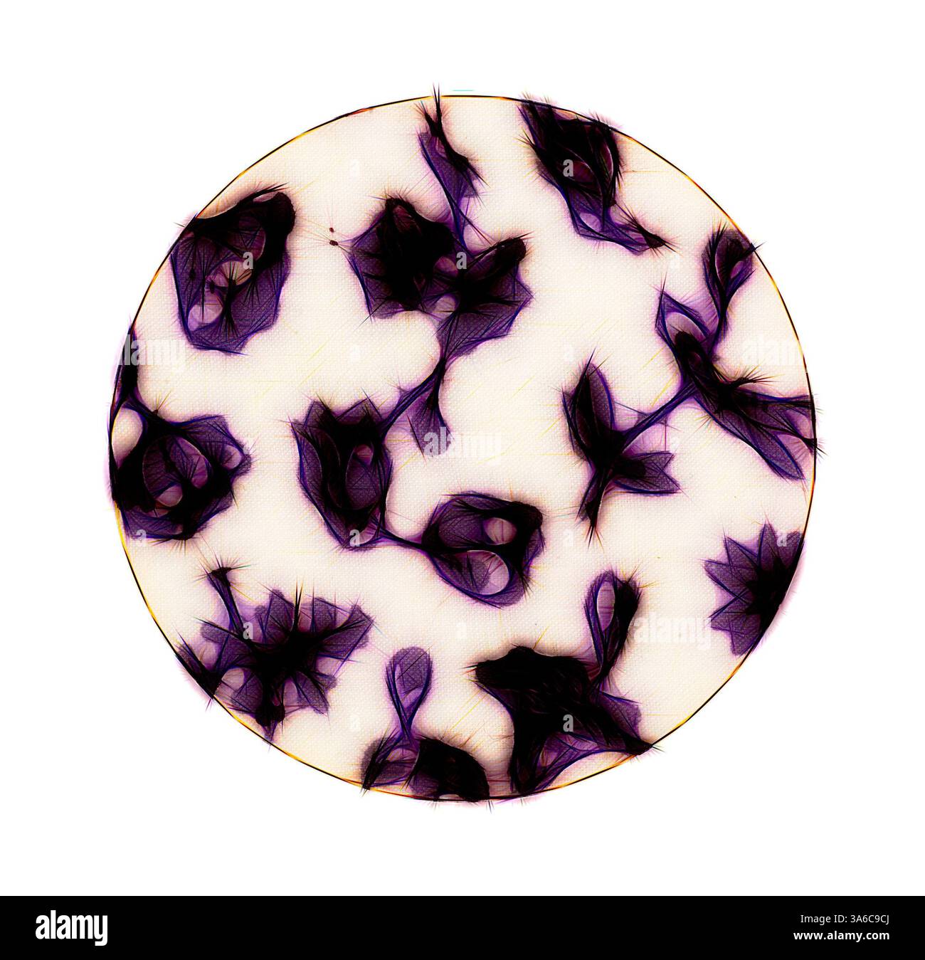 Intricate arrangement of elongated shapes hi-res stock photography and ...