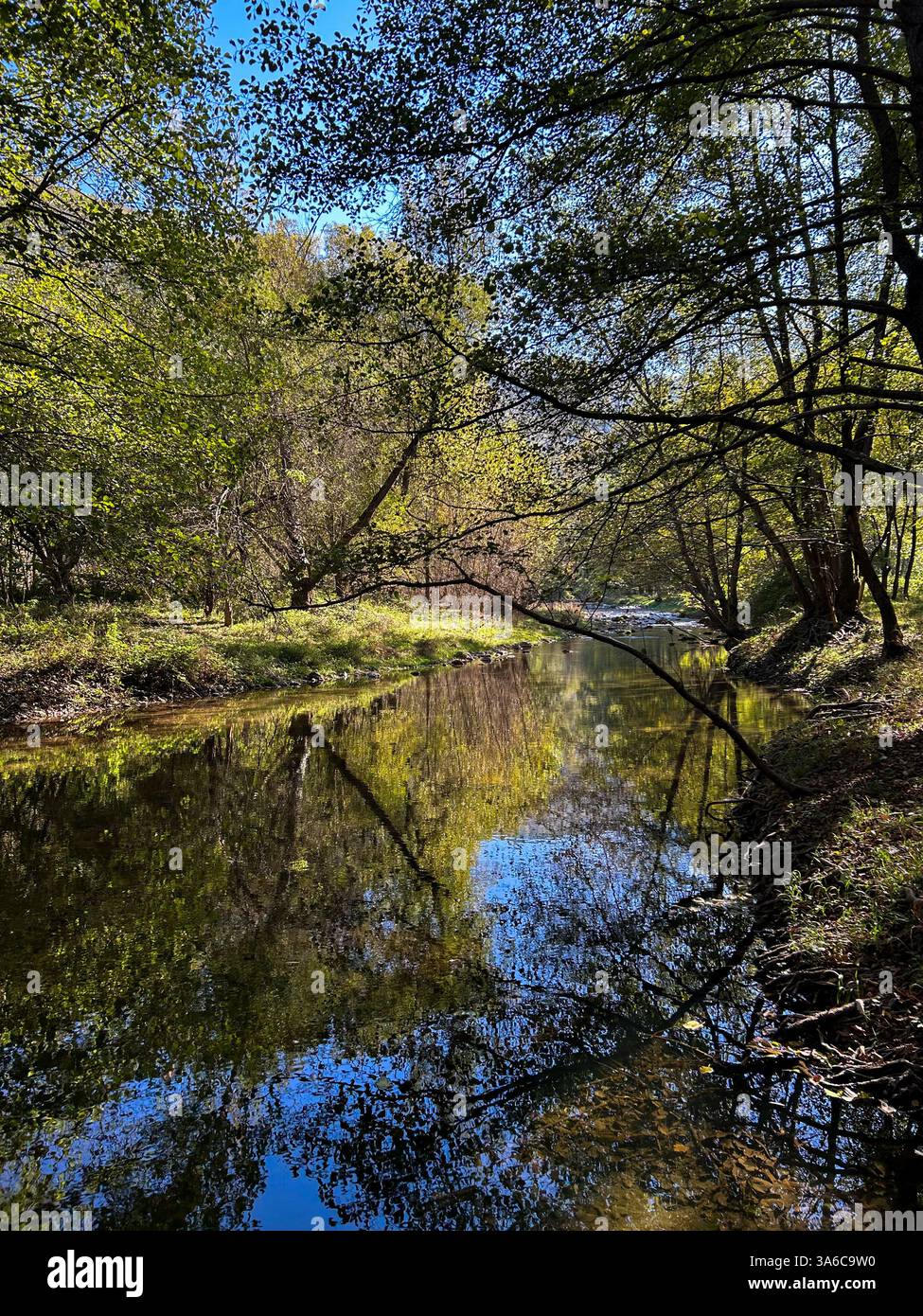 The Gradac River winds through lush green trees with hints of early ...