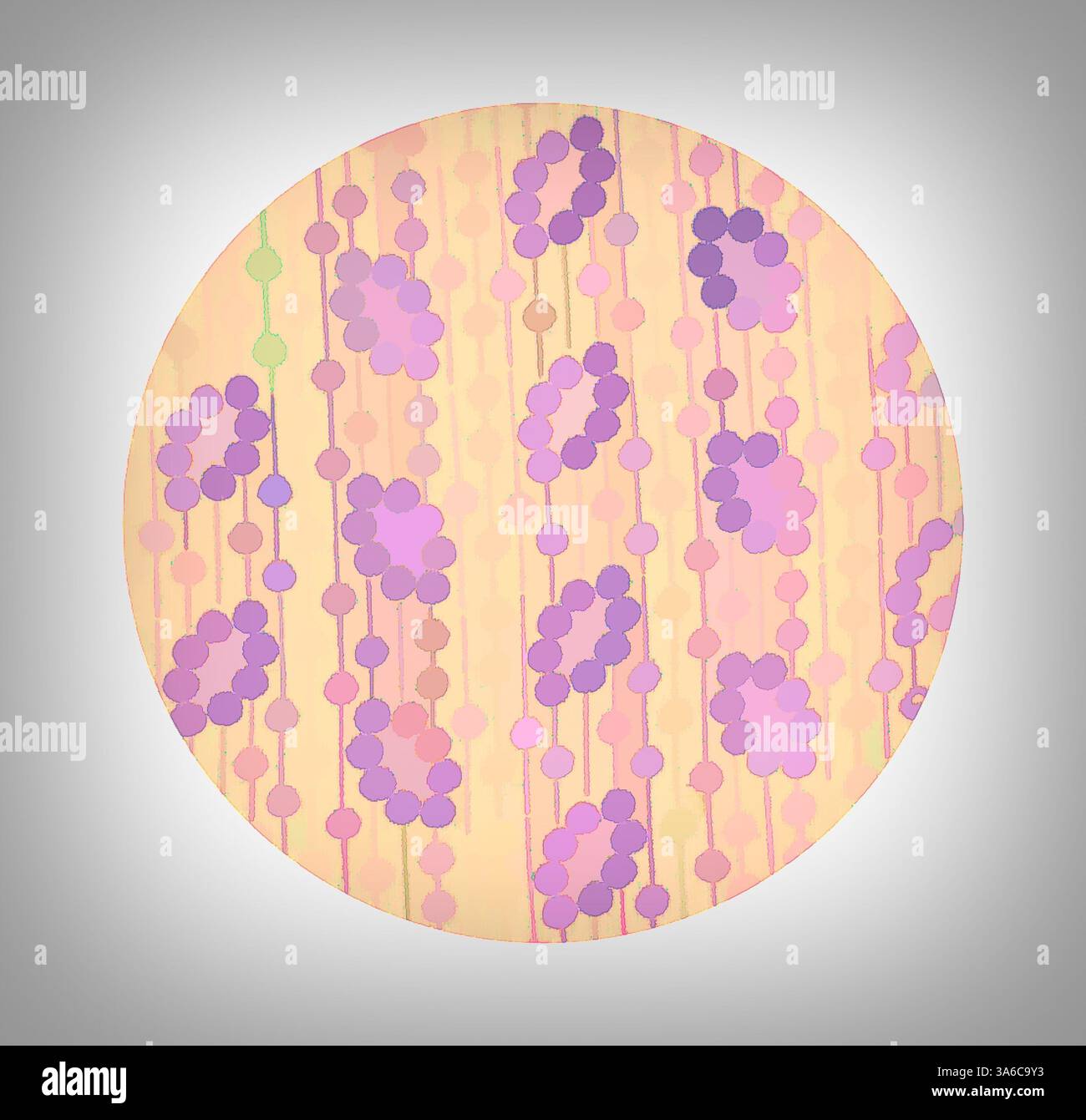 A vibrant circular pattern featuring an arrangement of colorful ...