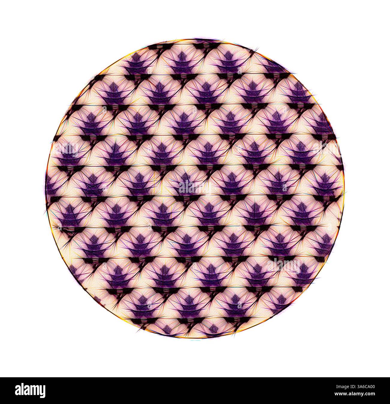 A circular design featuring a repeated pattern of stylized leaves in ...