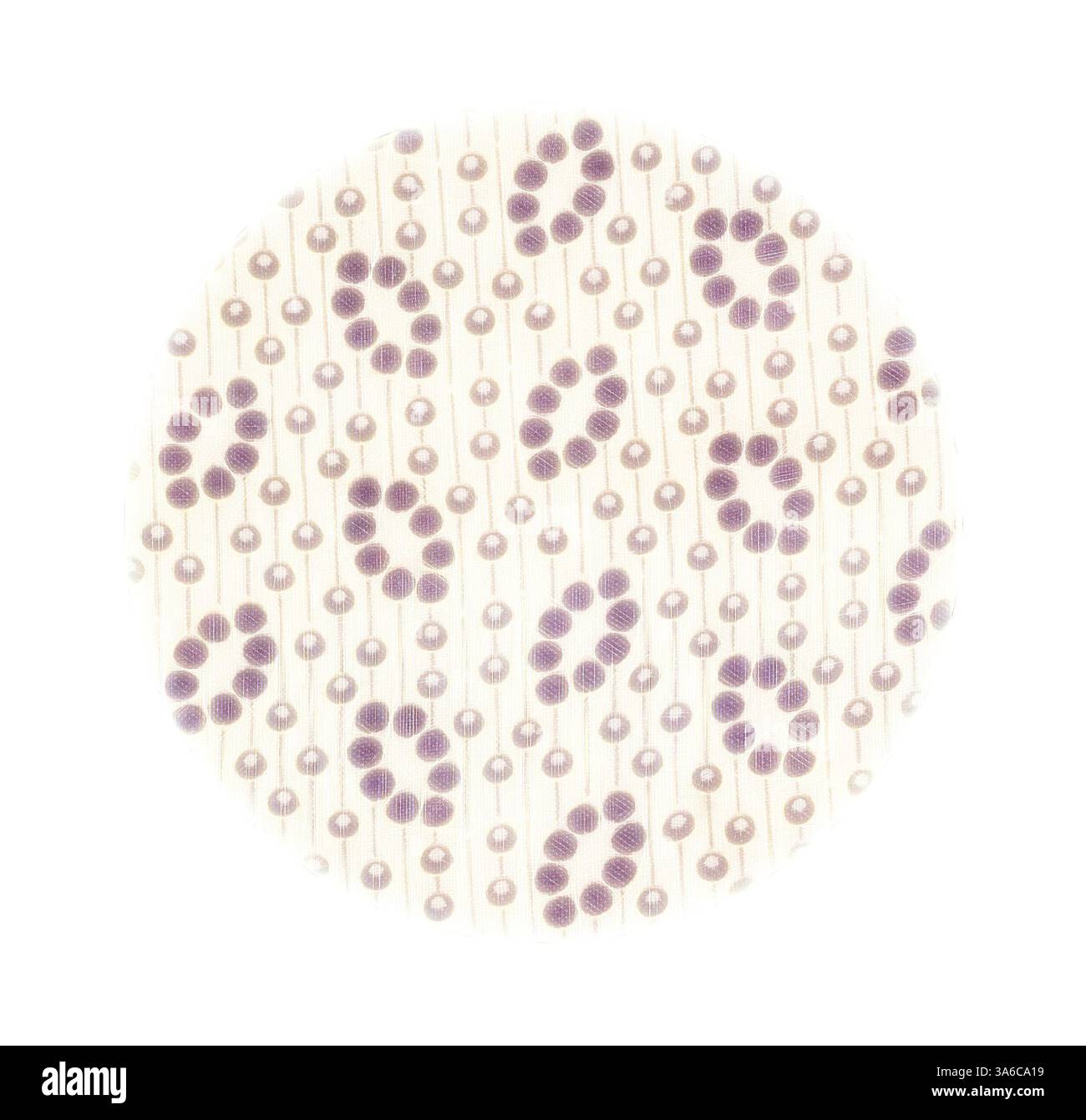 A circular pattern featuring clusters of small purple dots interspersed ...