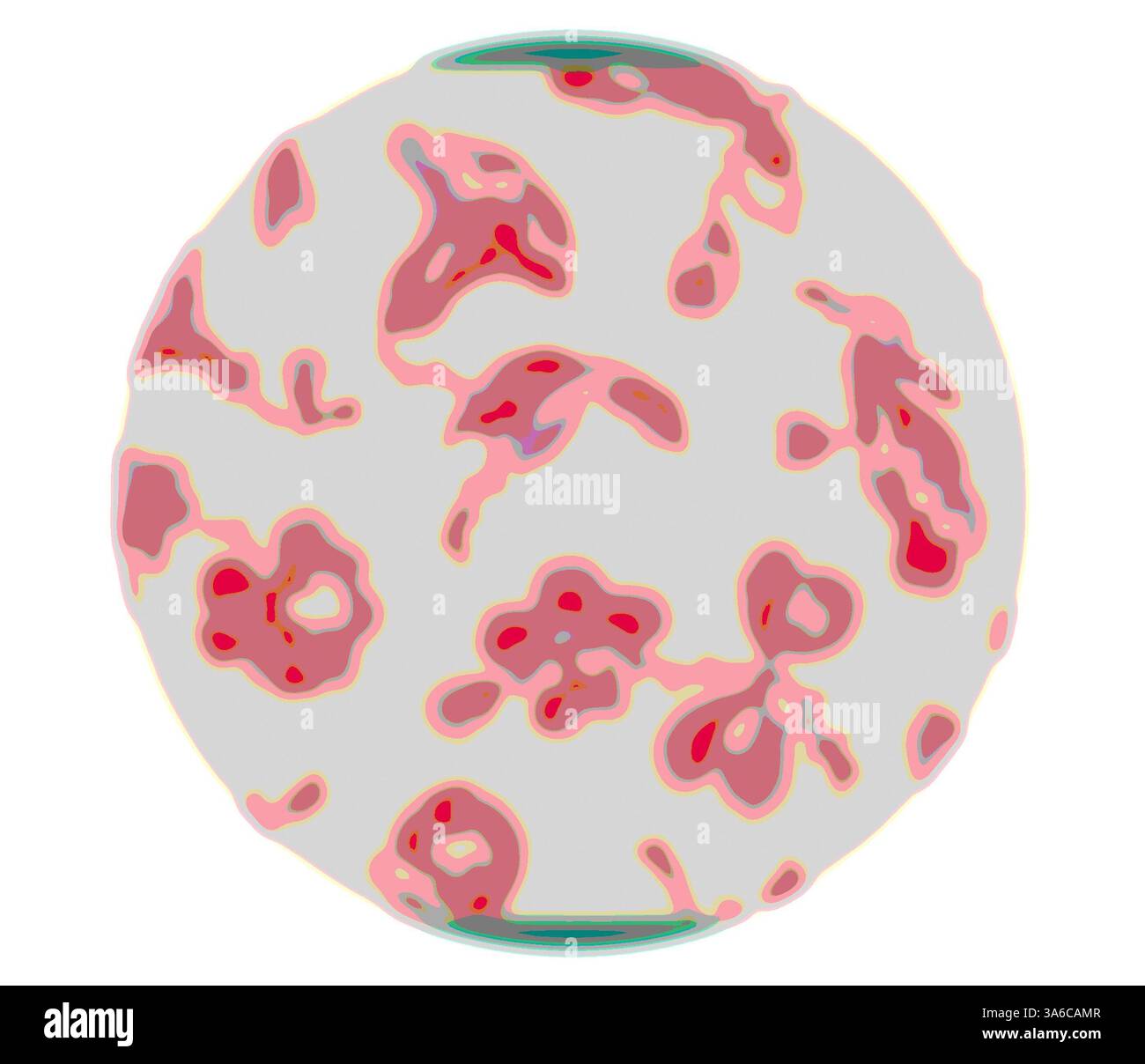 Varied structures Cut Out Stock Images & Pictures - Alamy