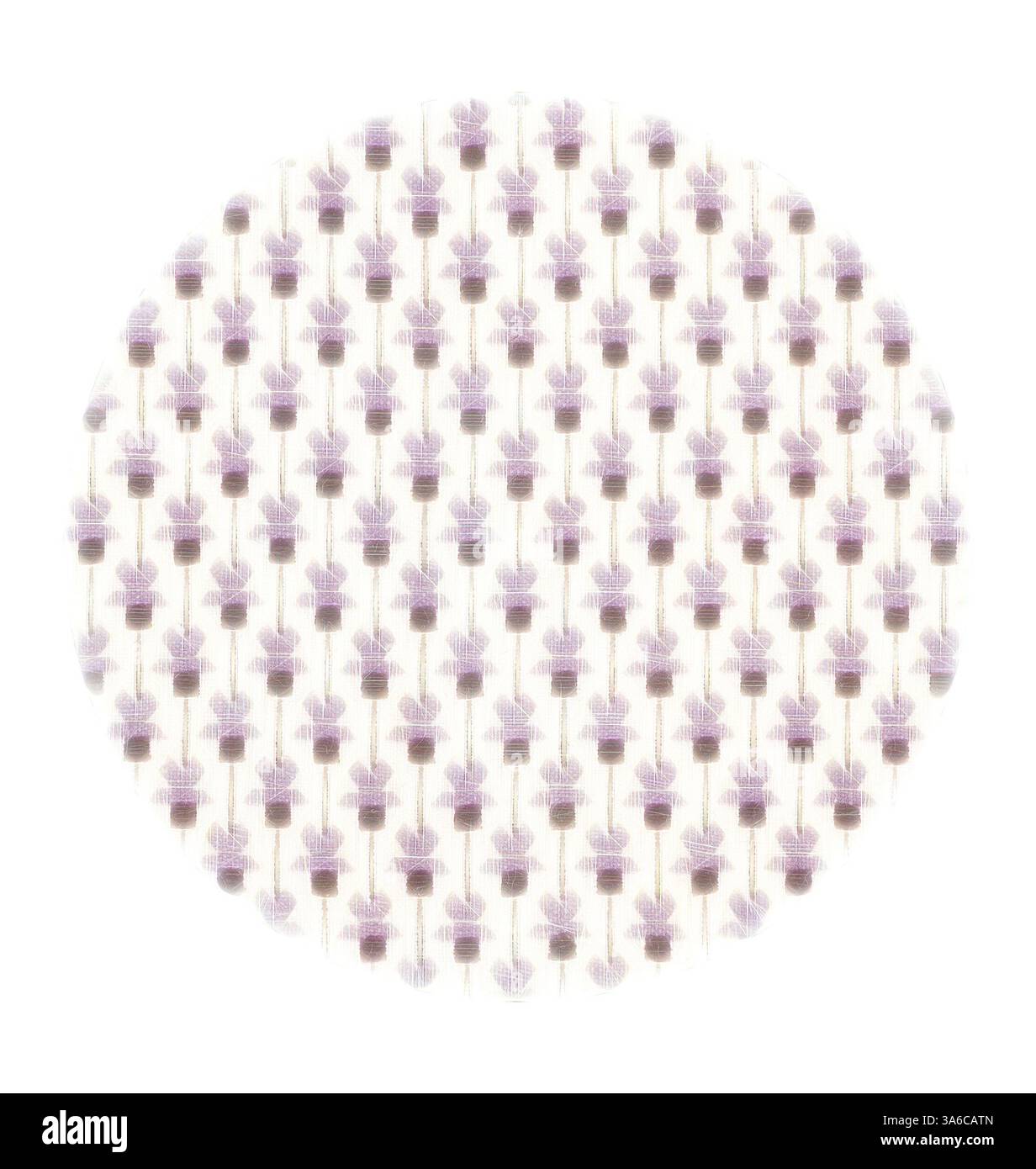 Series of stylized floral designs hi-res stock photography and images ...