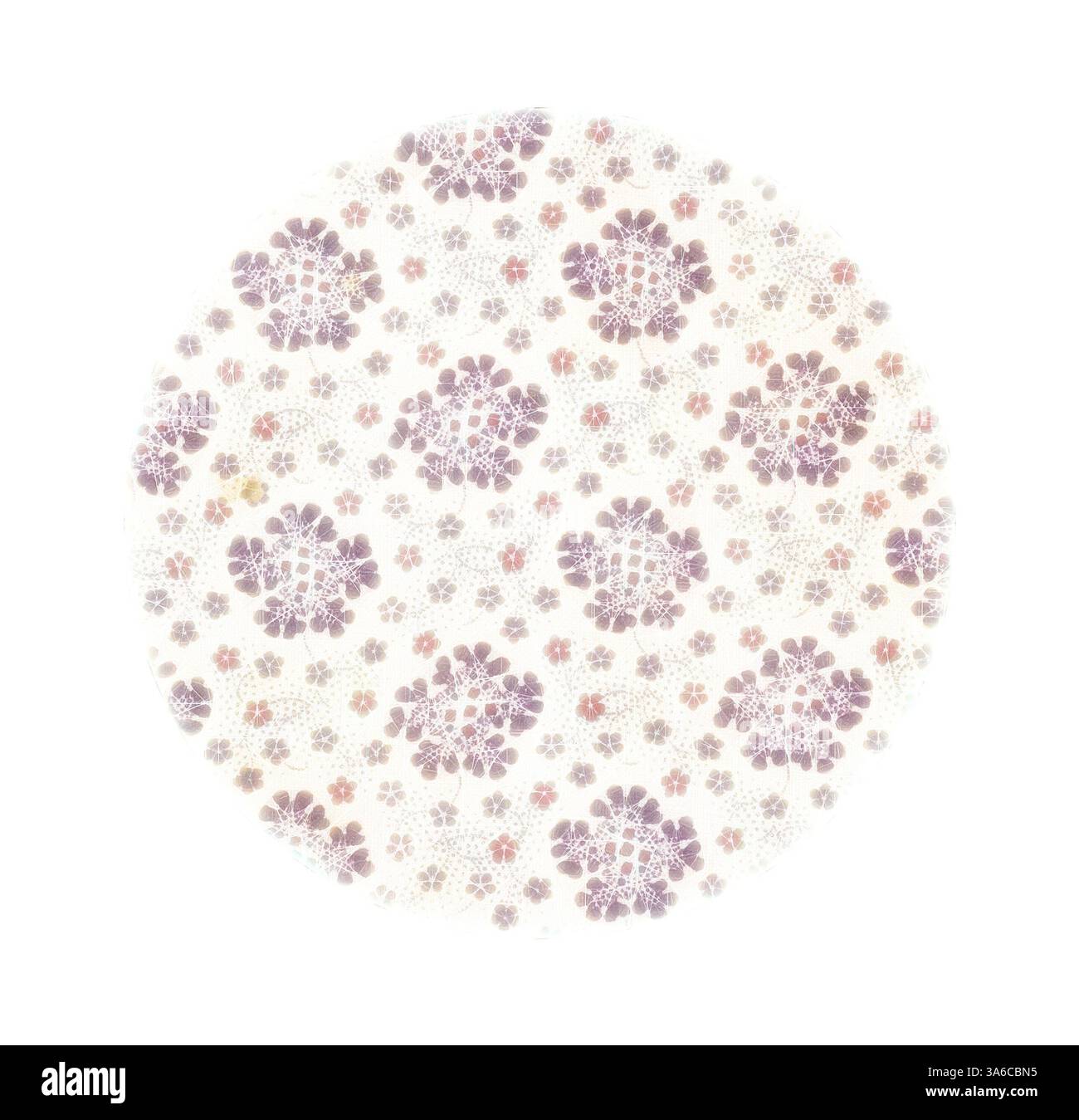 Featuring various floral motifs in subtle shades hi-res stock ...