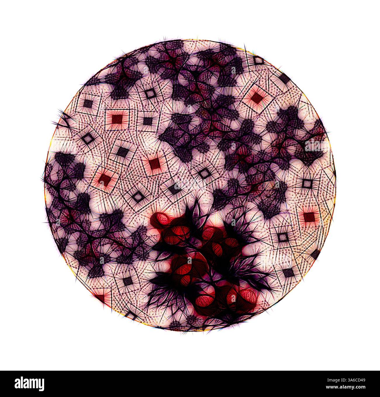 A circular design featuring intricate patterns of dark shapes and ...