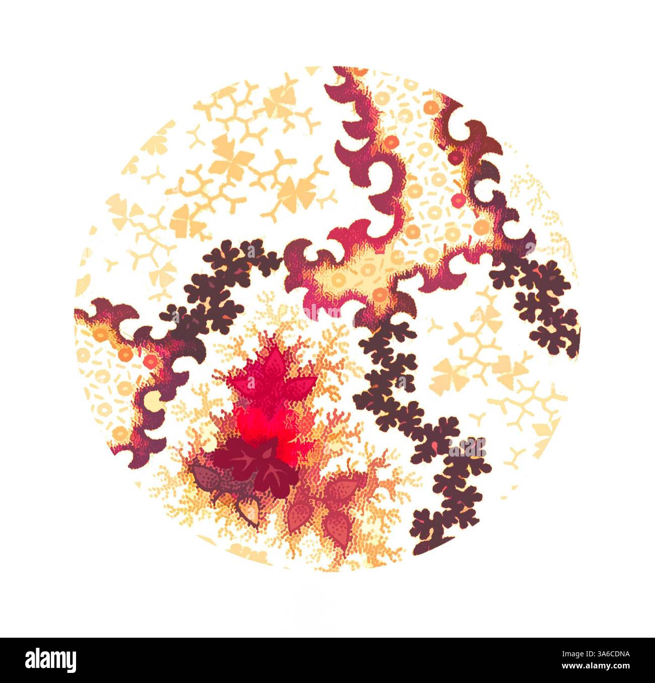 A vibrant, abstract design featuring intricate patterns and bold color ...