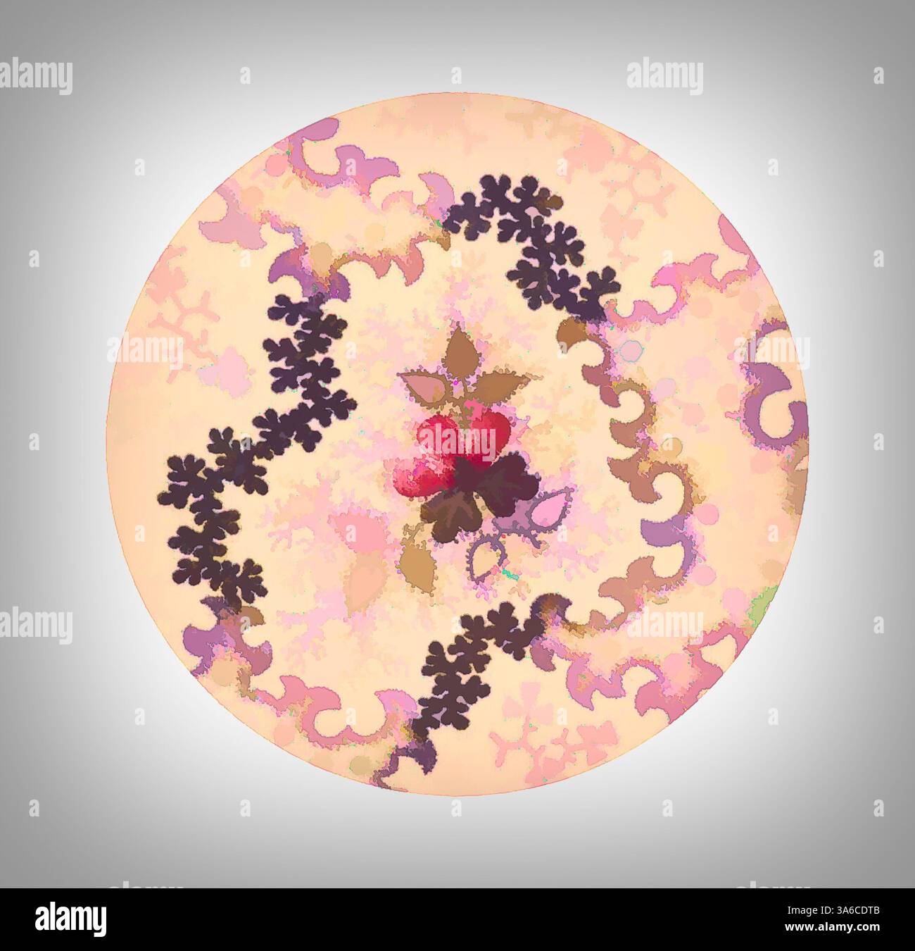 A circular composition featuring intricate floral and leafy motifs ...