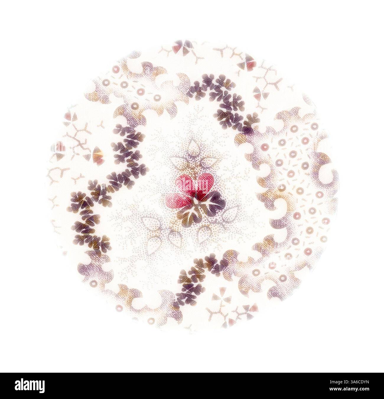 A delicate arrangement of intricate shapes and patterns forms a ...