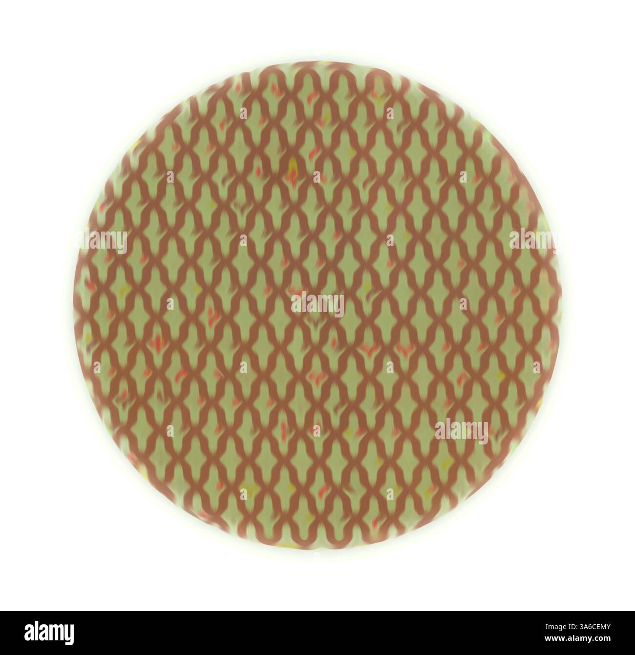 A circular design features a complex, interwoven pattern with ...
