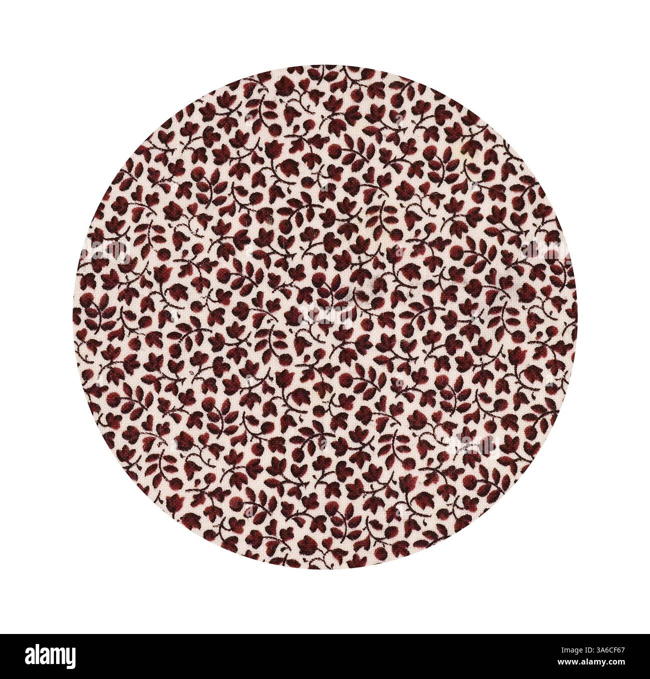 Densely set leaves hi-res stock photography and images - Alamy