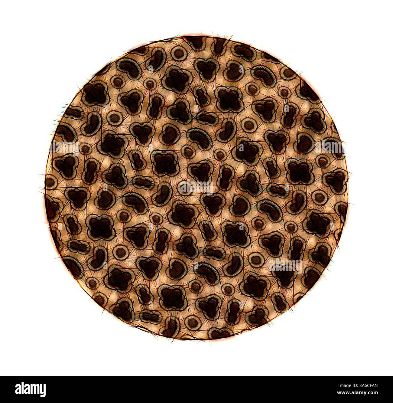 Showcasing angular forms hi-res stock photography and images - Alamy