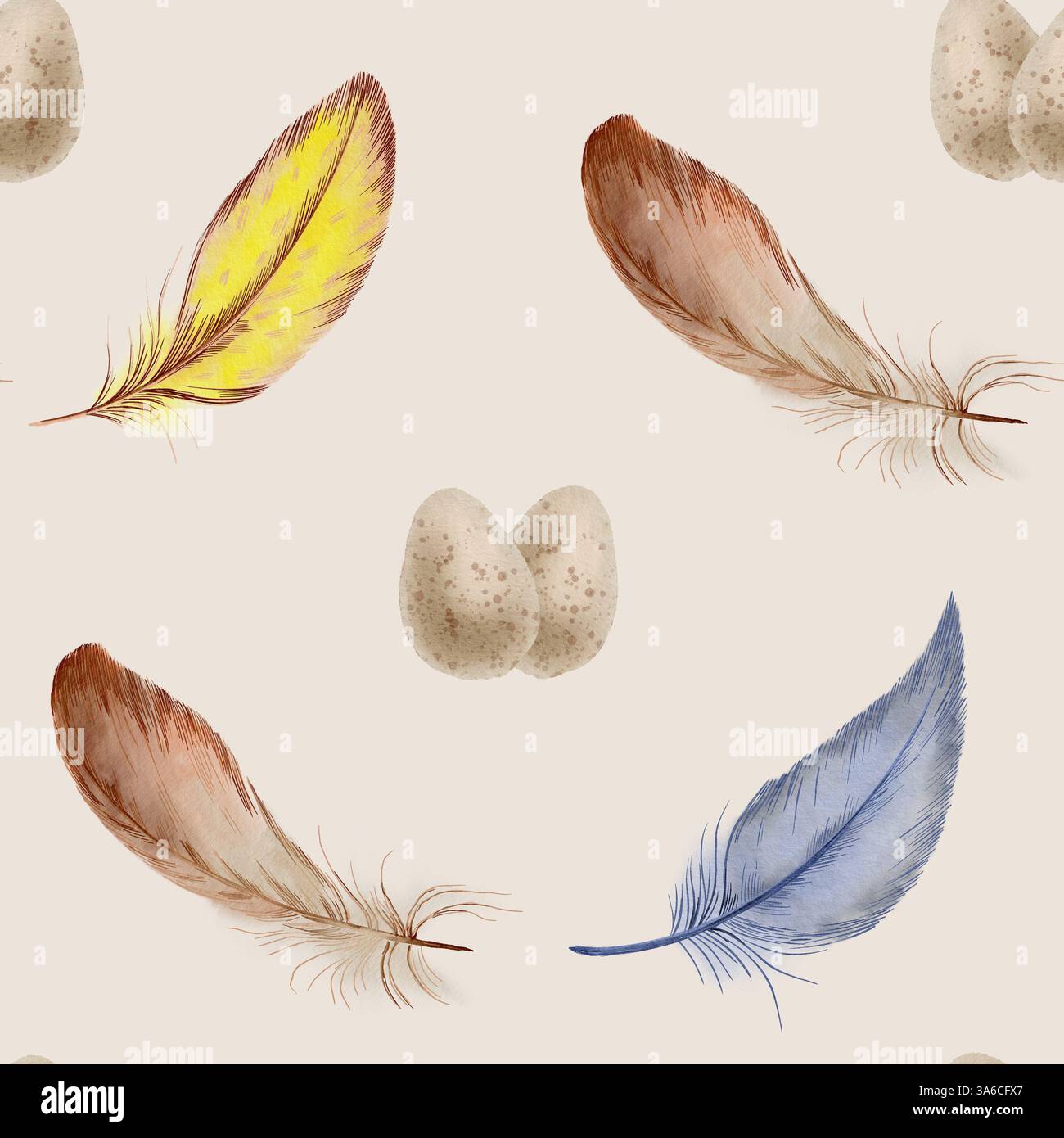 Yellow feathers on transparent hi-res stock photography and images - Alamy