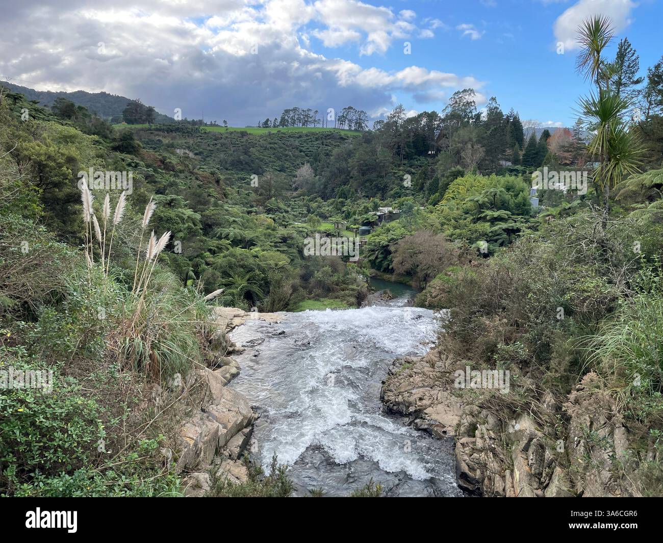 Stream pouring over cliff edge in New Zealand native bush Stock Photo ...