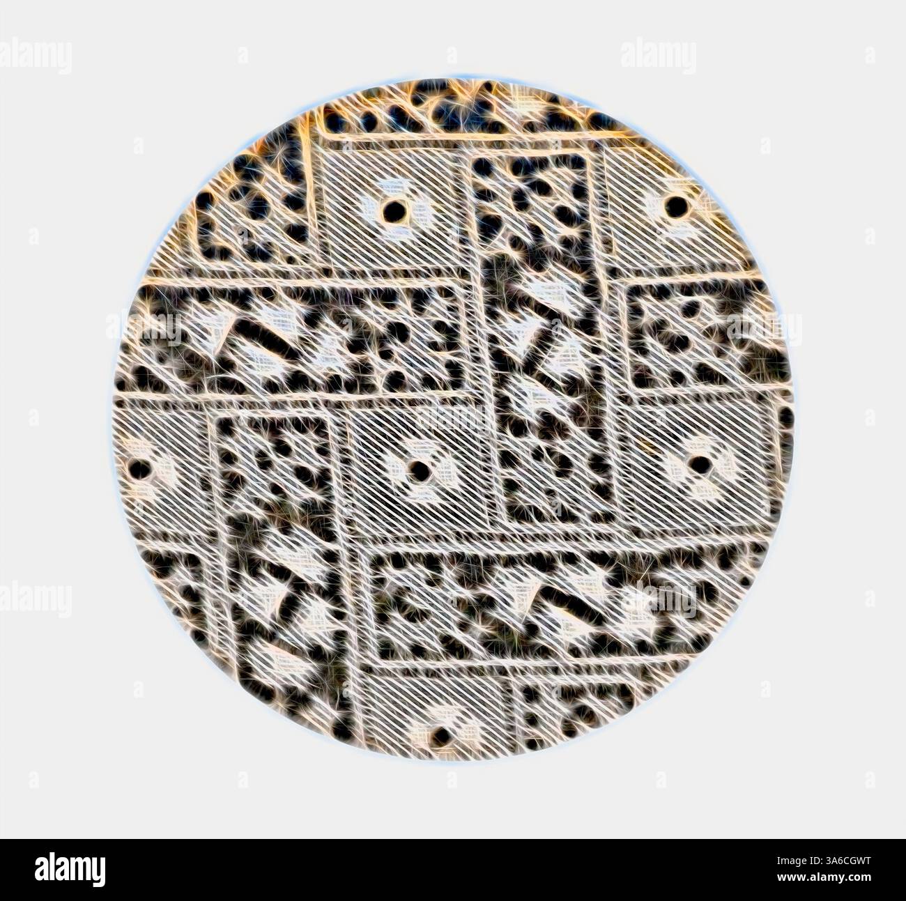 An intricate circular design featuring a textured pattern with fine ...