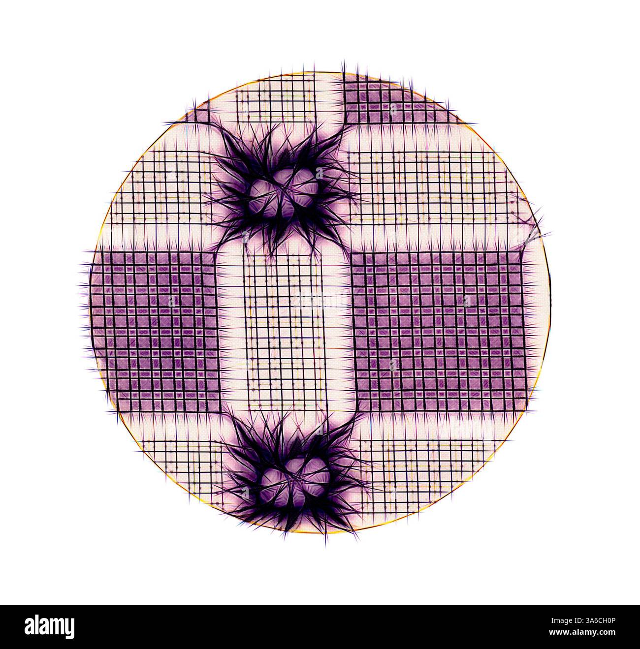 A circular design featuring a grid pattern, punctuated by spiky ...