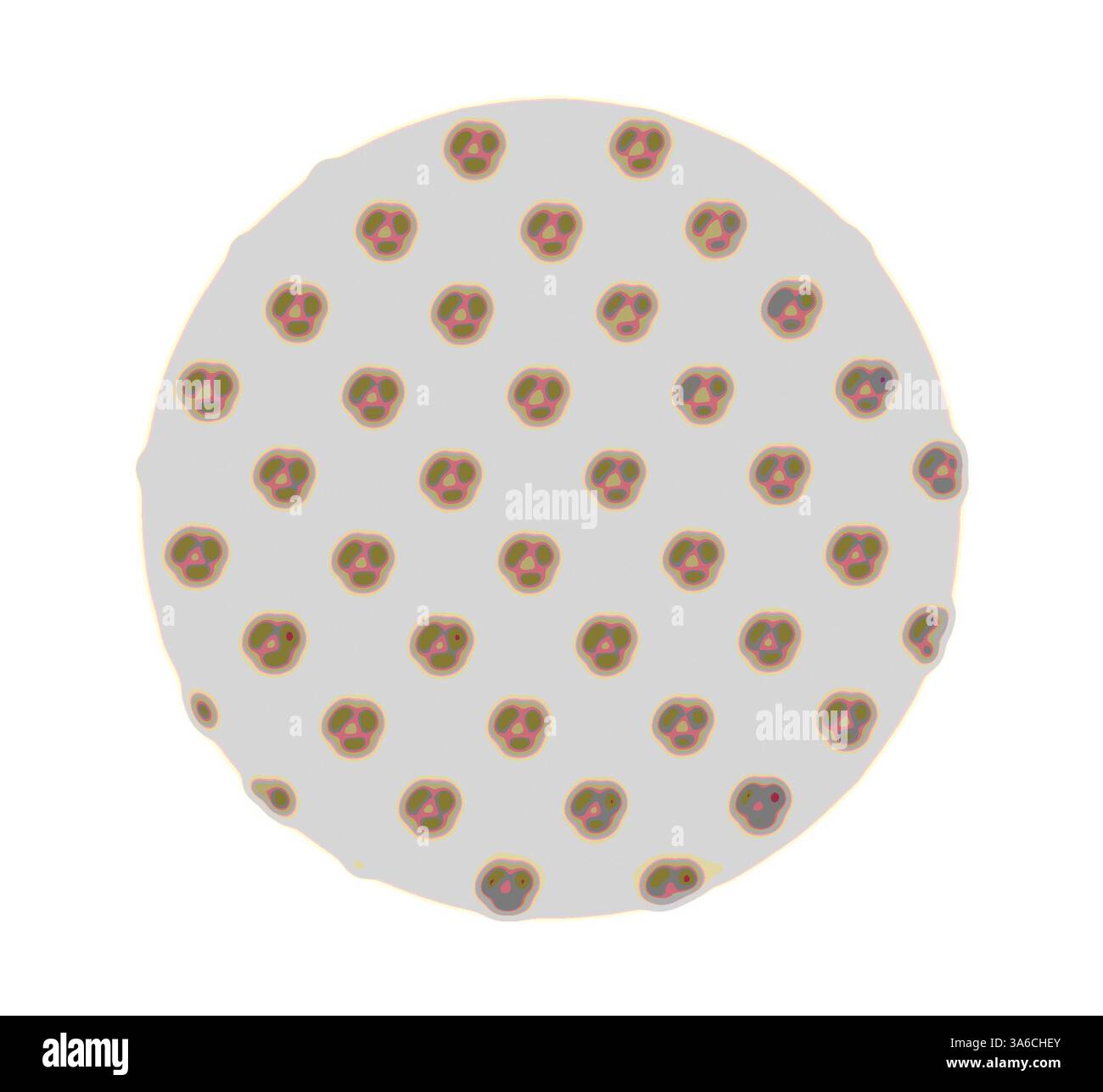A circular design featuring a repeating pattern of circular shapes with ...