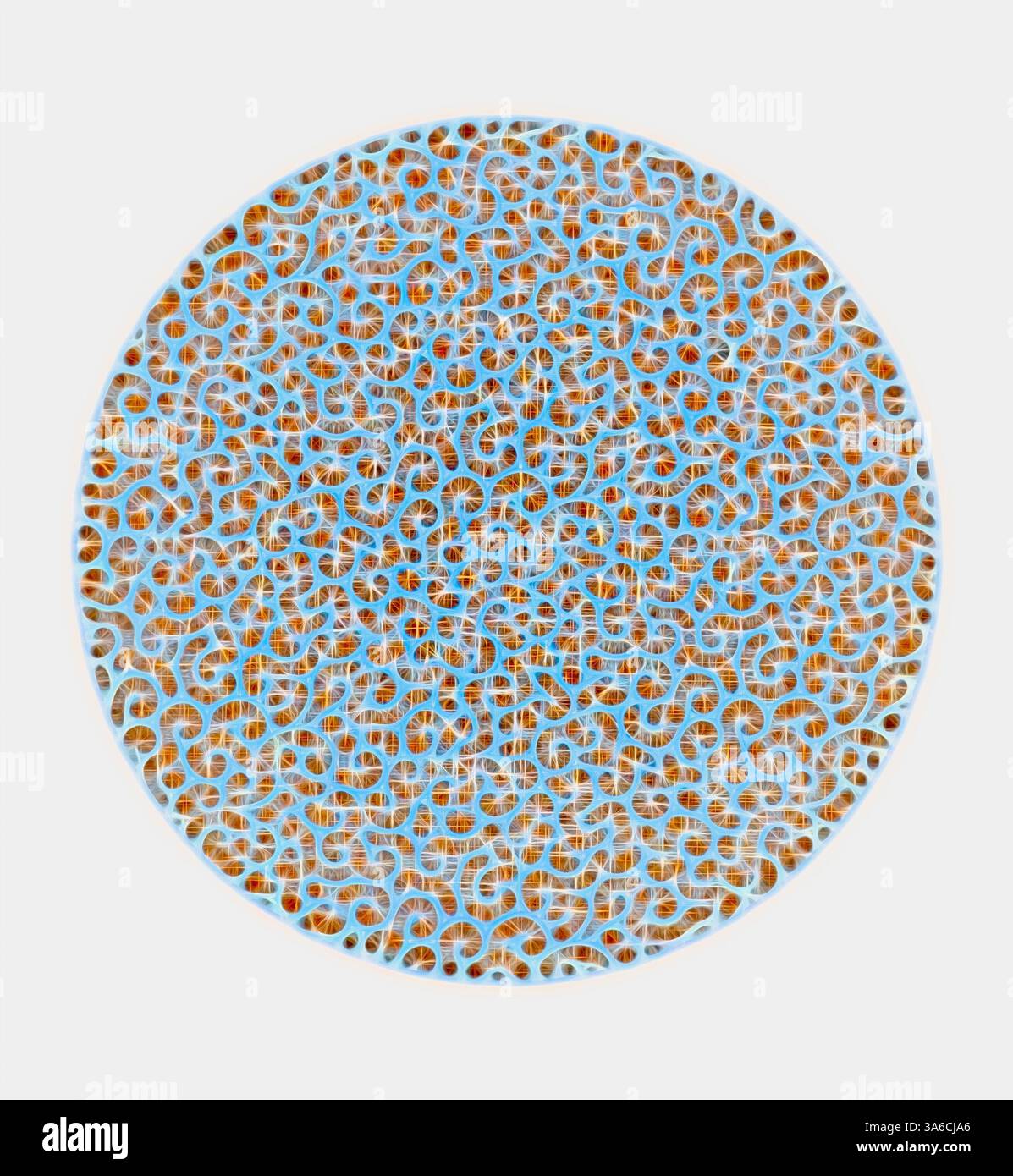 A circular pattern featuring intricate, swirling lines intertwined with ...