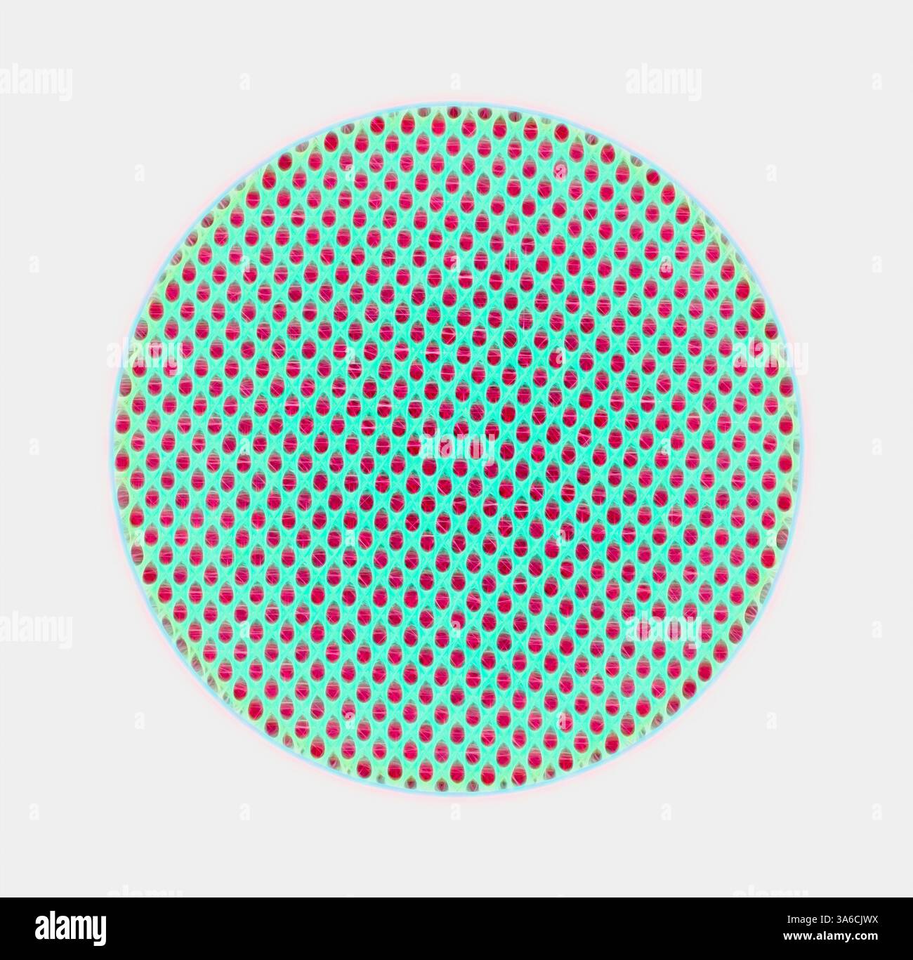 A circular pattern filled with small, colorful dots creates a visually ...