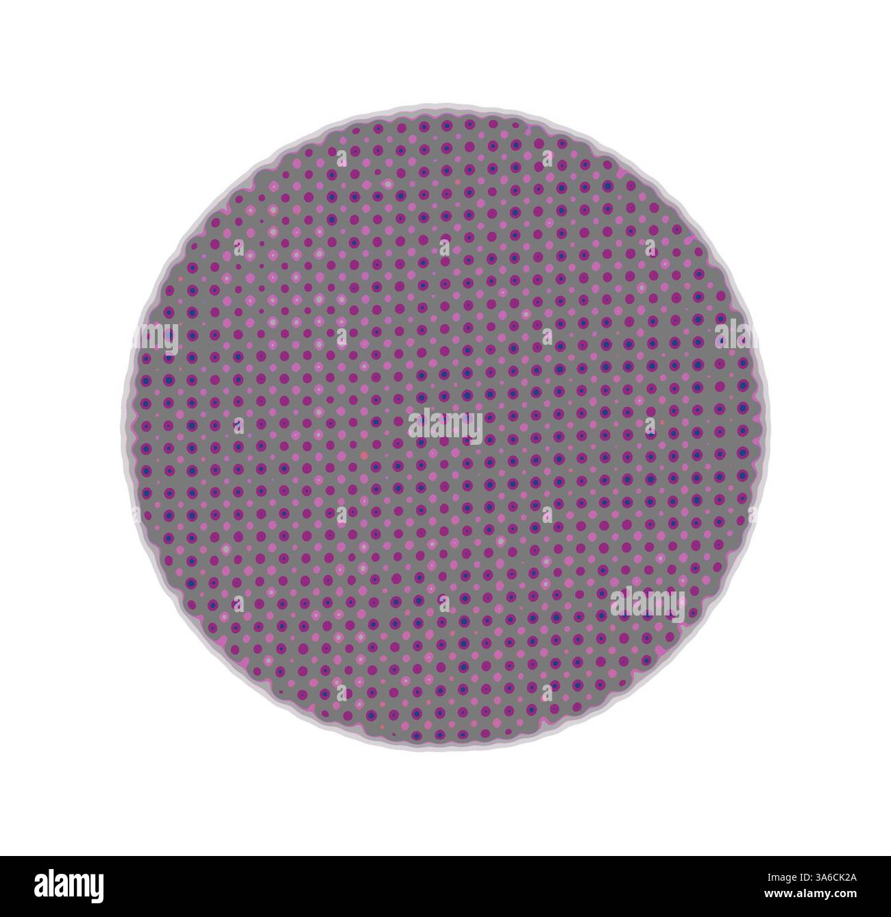 A circular design featuring a dense pattern of alternating purple and ...