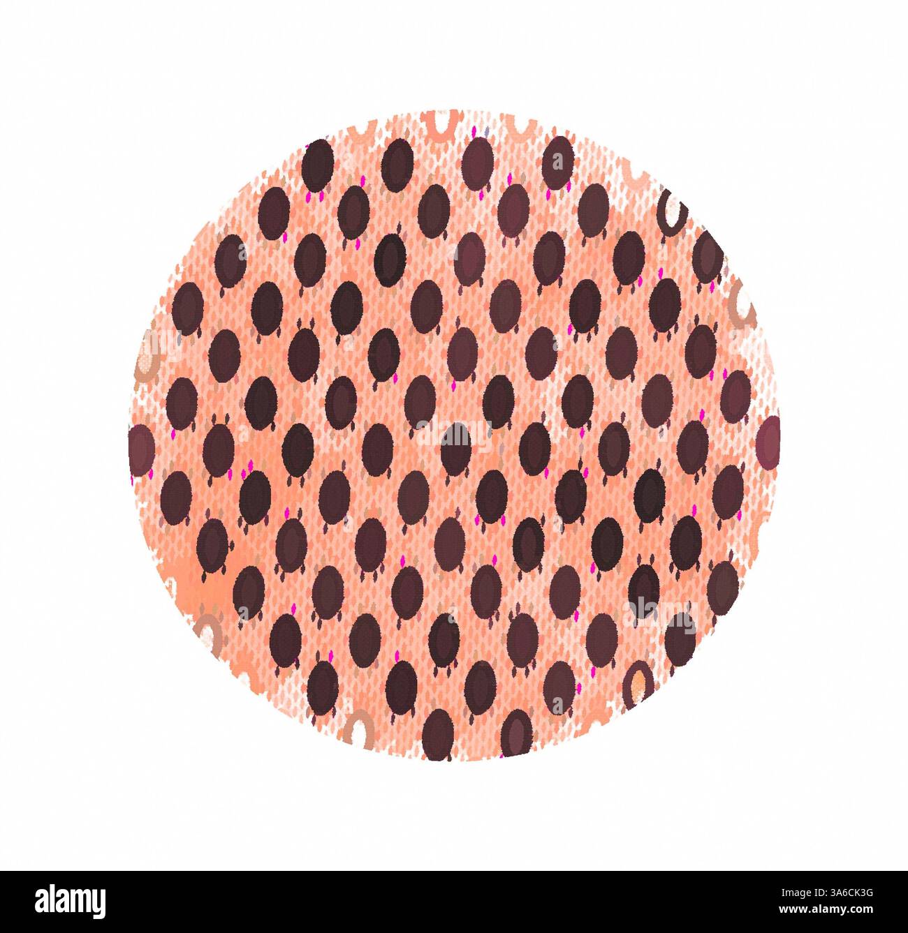 A circular pattern filled with alternating dark and light dots ...